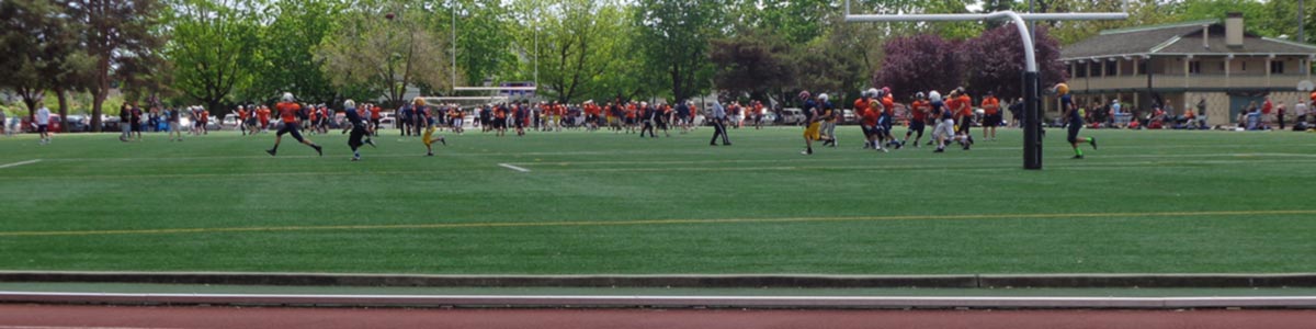 Minoru Park Features